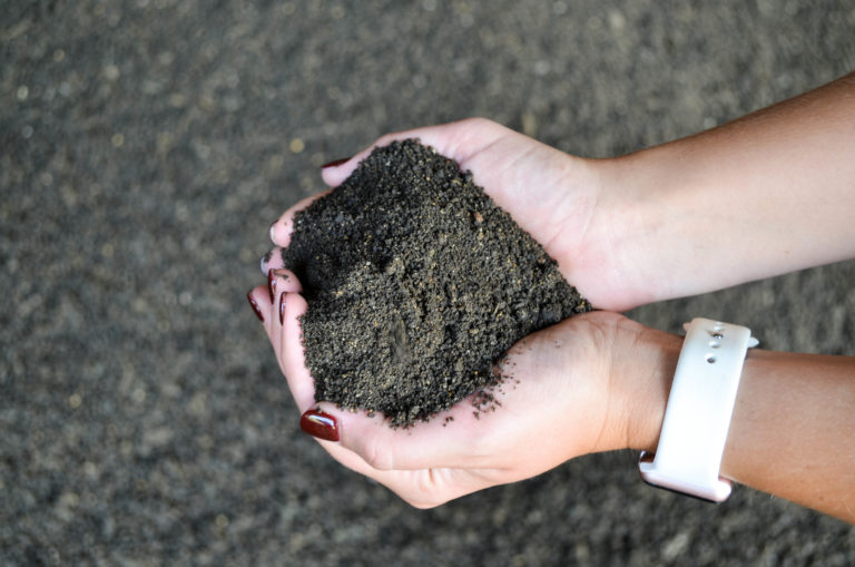 Top Soil & Garden Soil In Madison, Wisconsin